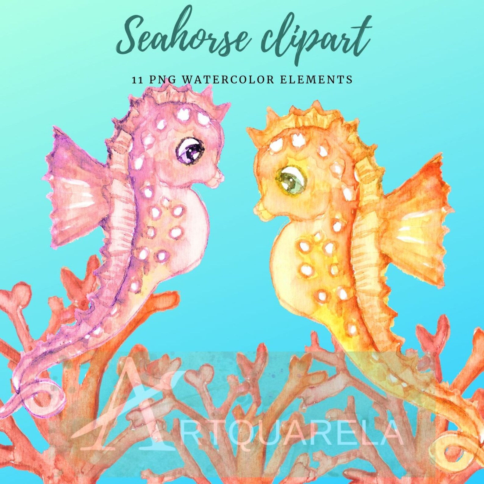 Seahorse Clipart Watercolor Colorful Seahorse Png Rainbow | Etsy