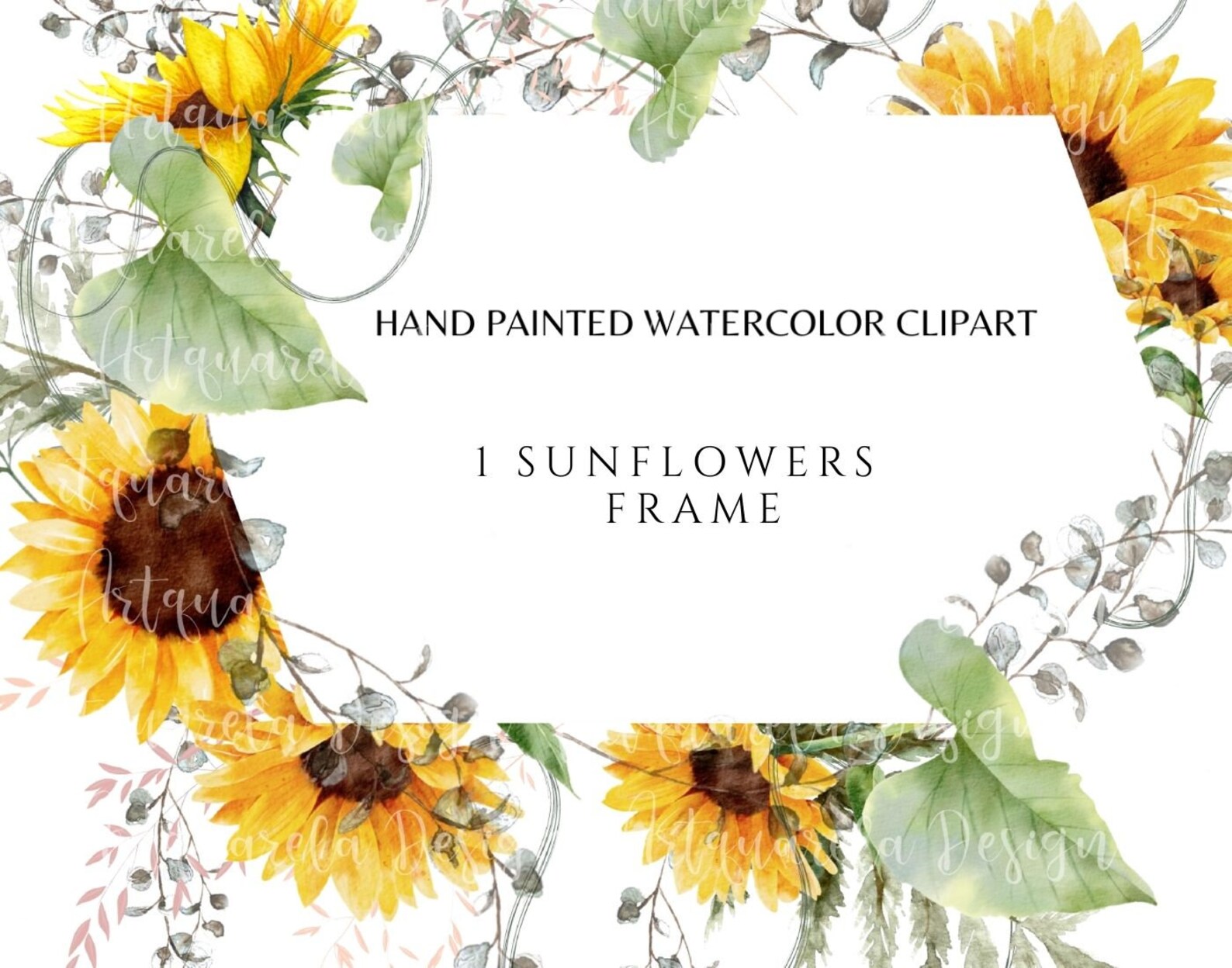 Sunflower Frame Clipart PNG Watercolor Floral Border Flowers - Etsy