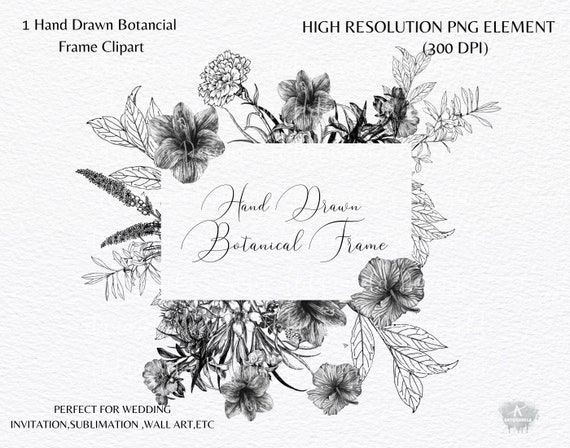 Digital Botanical Frame PNG Modern Flowers Clipart Black - Etsy