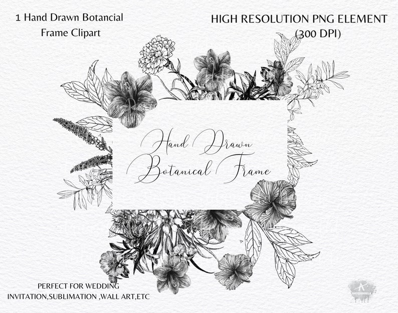 Digital Botanical Frame PNG Modern Flowers Clipart Black - Etsy