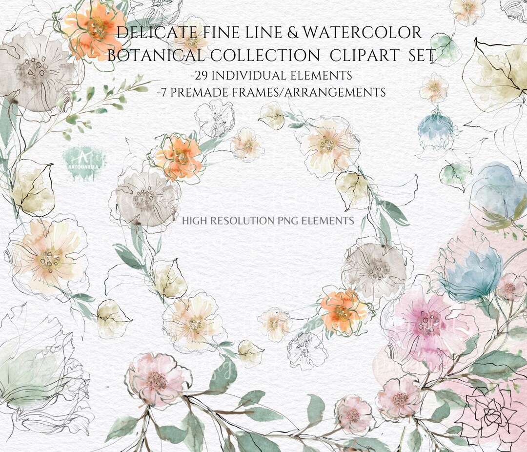 Flowers Clipart Collection PNG Hand Painted Watercolor Fine Drawing ...
