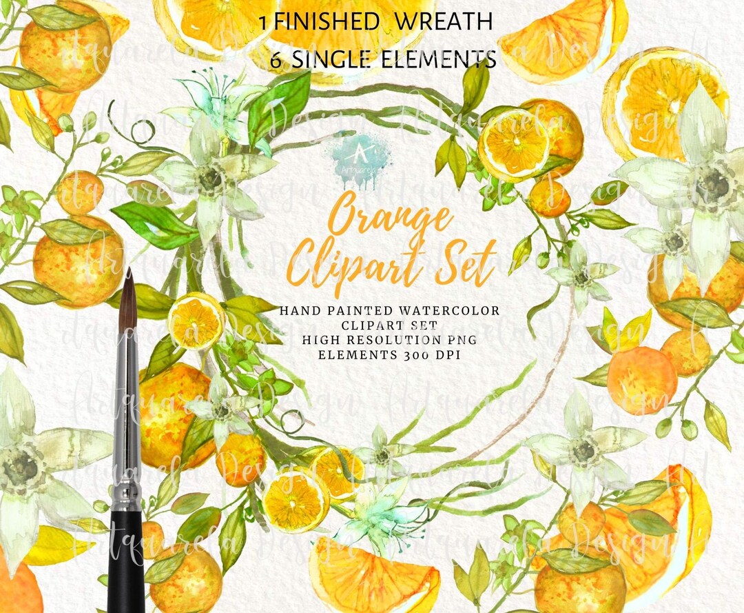 Orange Clip Art Set Hand Painted Watercolor Orange Wreath ,sublimation ...