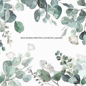 Hand Painted Watercolor Eucalyptus Clipart Bundle Clipart Greenery ...