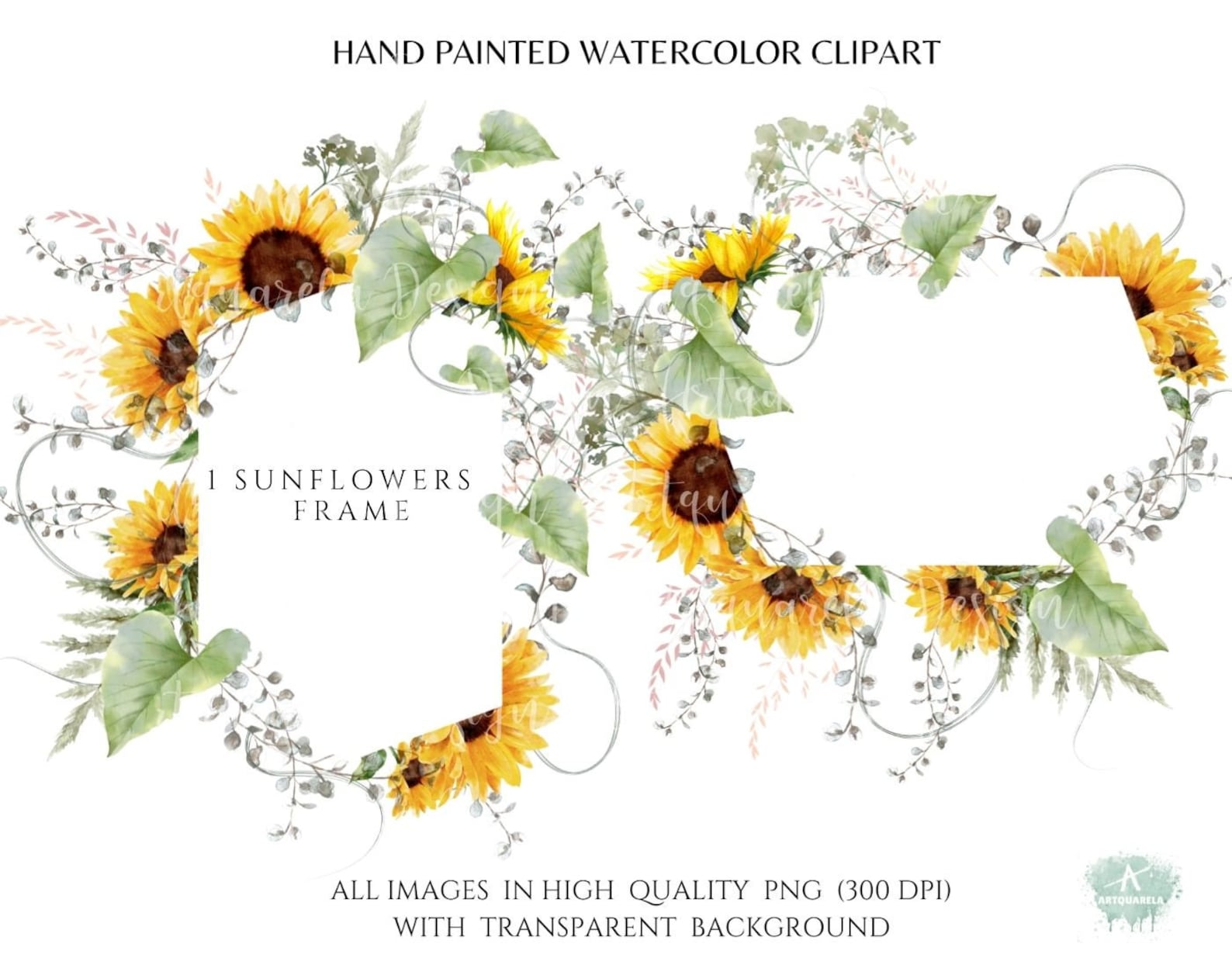 Sunflower Frame Clipart PNG Watercolor Floral Border Flowers - Etsy
