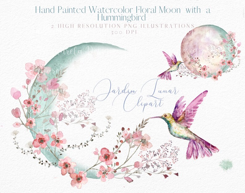 Floral Moon With a Hummingbird Clipart-watercolor Moon cherry - Etsy