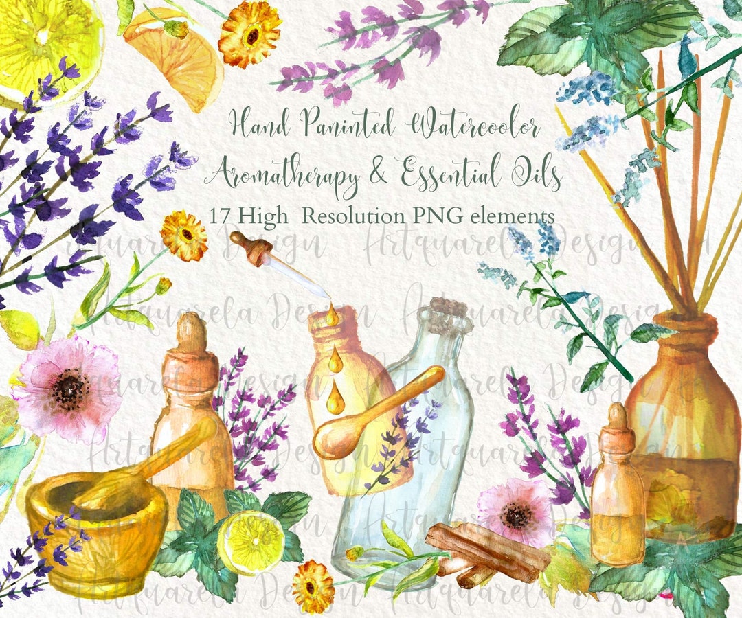 Spa, Watercolor Essential Oils Bottle Clipart Diffuser,aromatic Herbs ...