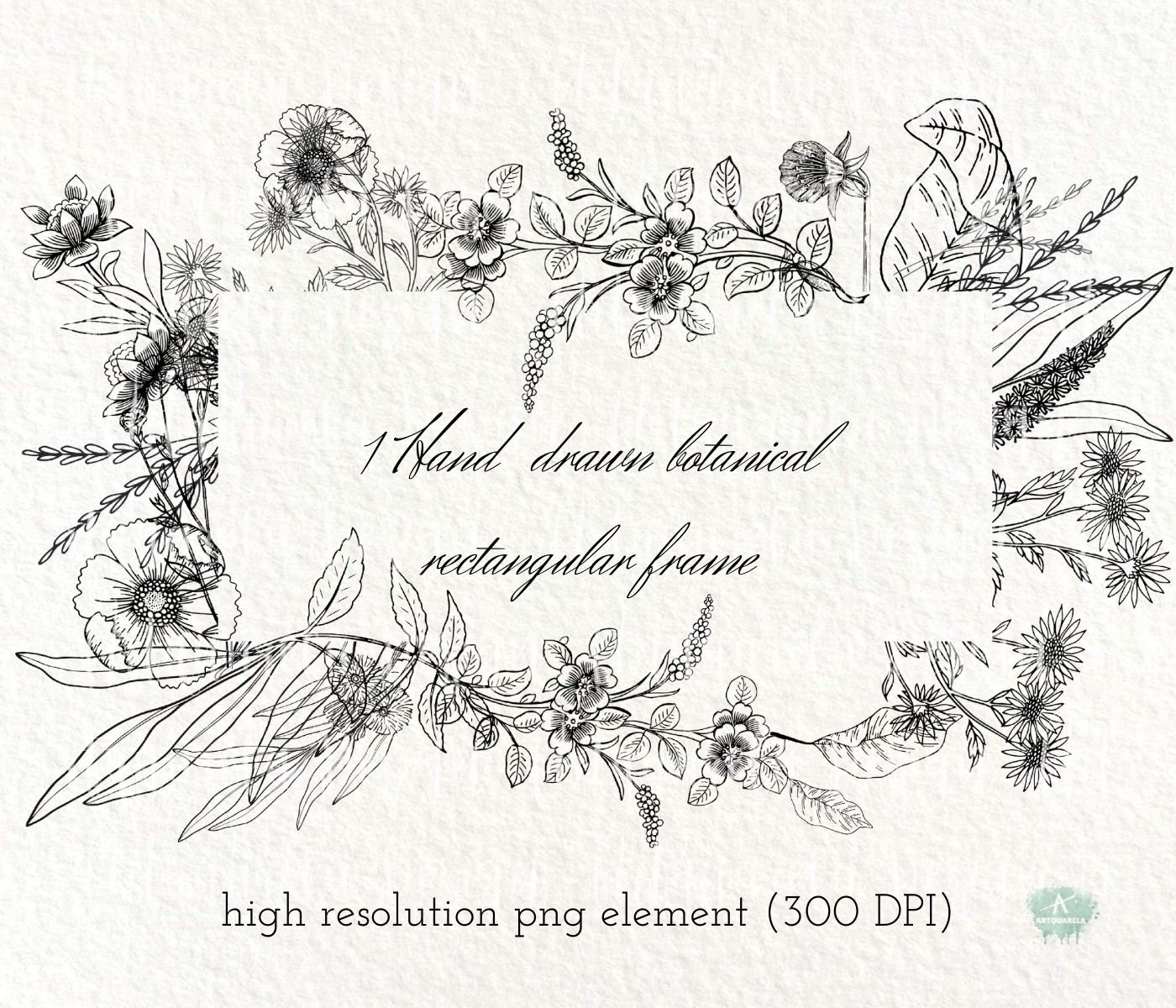 Hand Drawn Botanical Frame Clipart-wild Flowers Frame Invite | Etsy