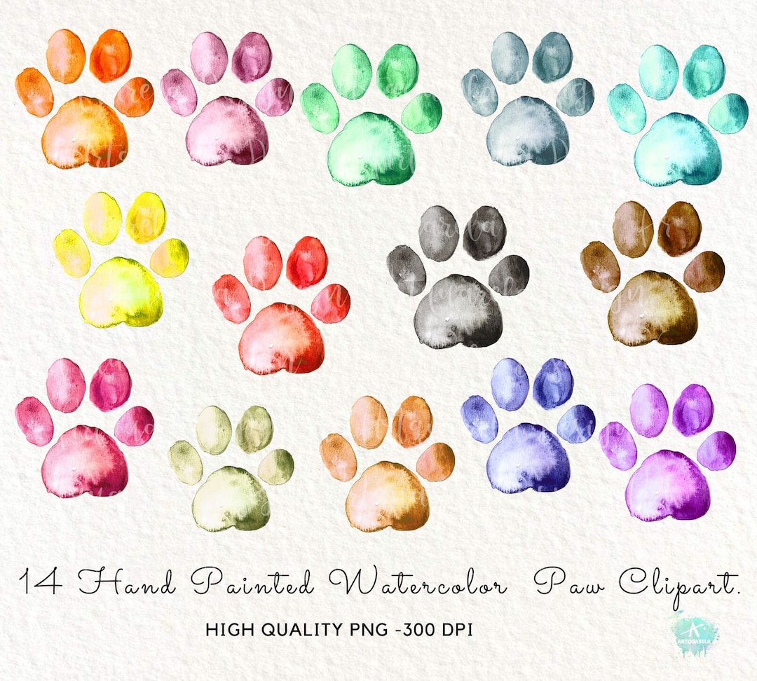 Watercolor Paw Print Clipart: Hand-painted Cat & Dog Graphics (PNG ...