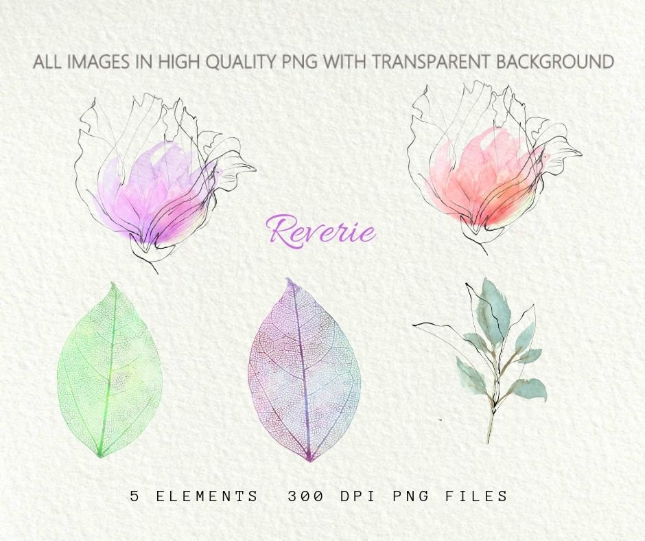 Hand Painted Watercolour Floral Clipart Hand Drawn With a | Etsy