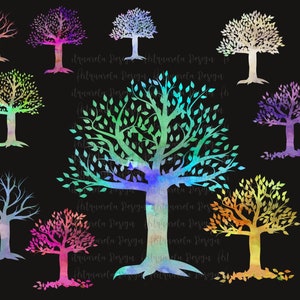 Four Seasons Watercolor Trees Clip Art, Spring Summer Winter Autumn ...