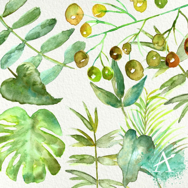 Watercolor Tropical Leaves Set Clipart palm Leafmonstera - Etsy