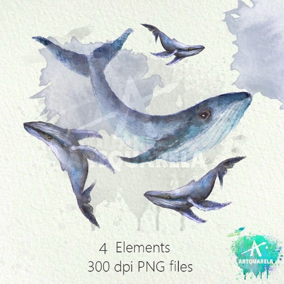 Whale Clipart, Hand Painted Watercolor Sea Animals Clip Art,,wild Fish ...