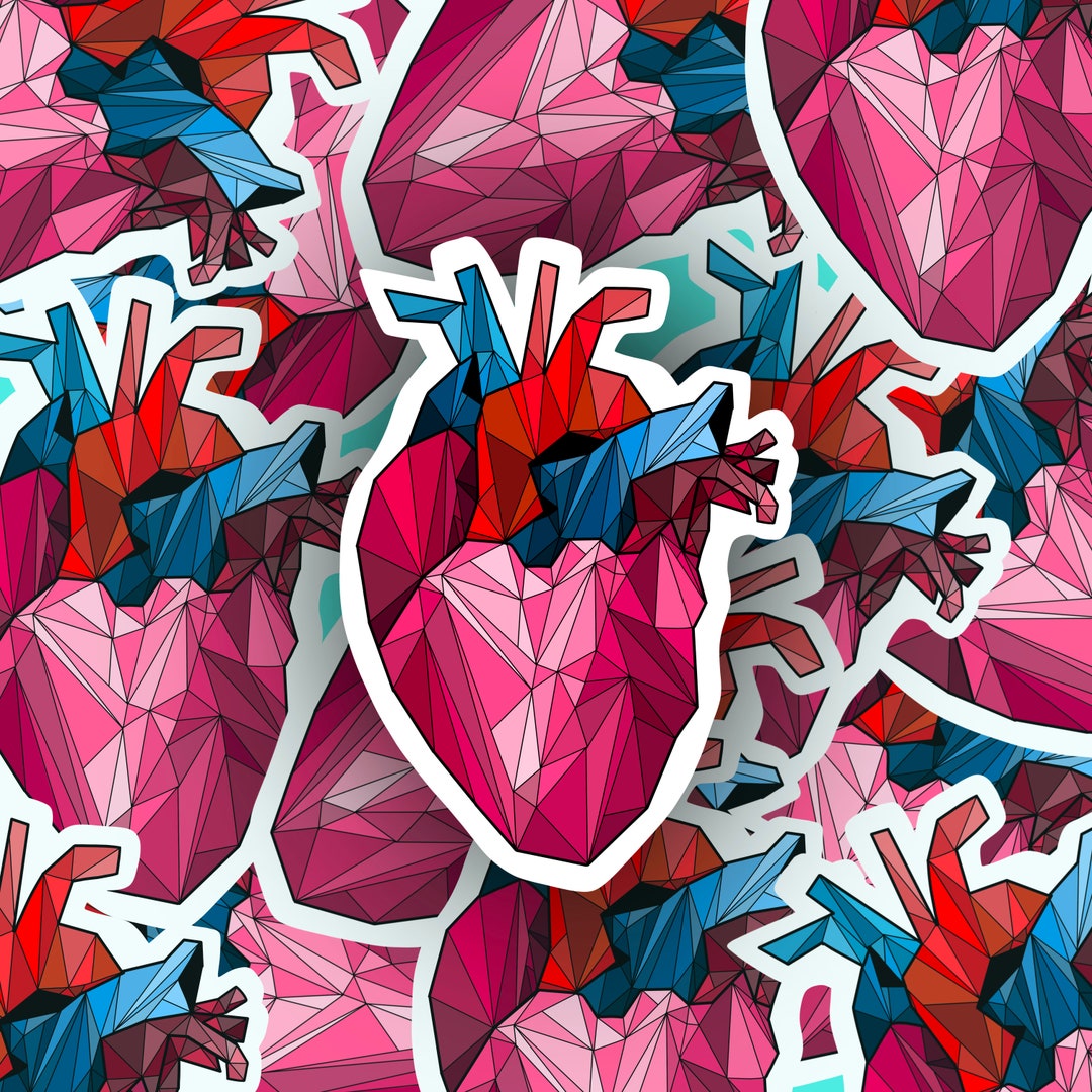 Geometric Anatomical Heart Sticker | Medical Sticker | Heart Sticker - Etsy