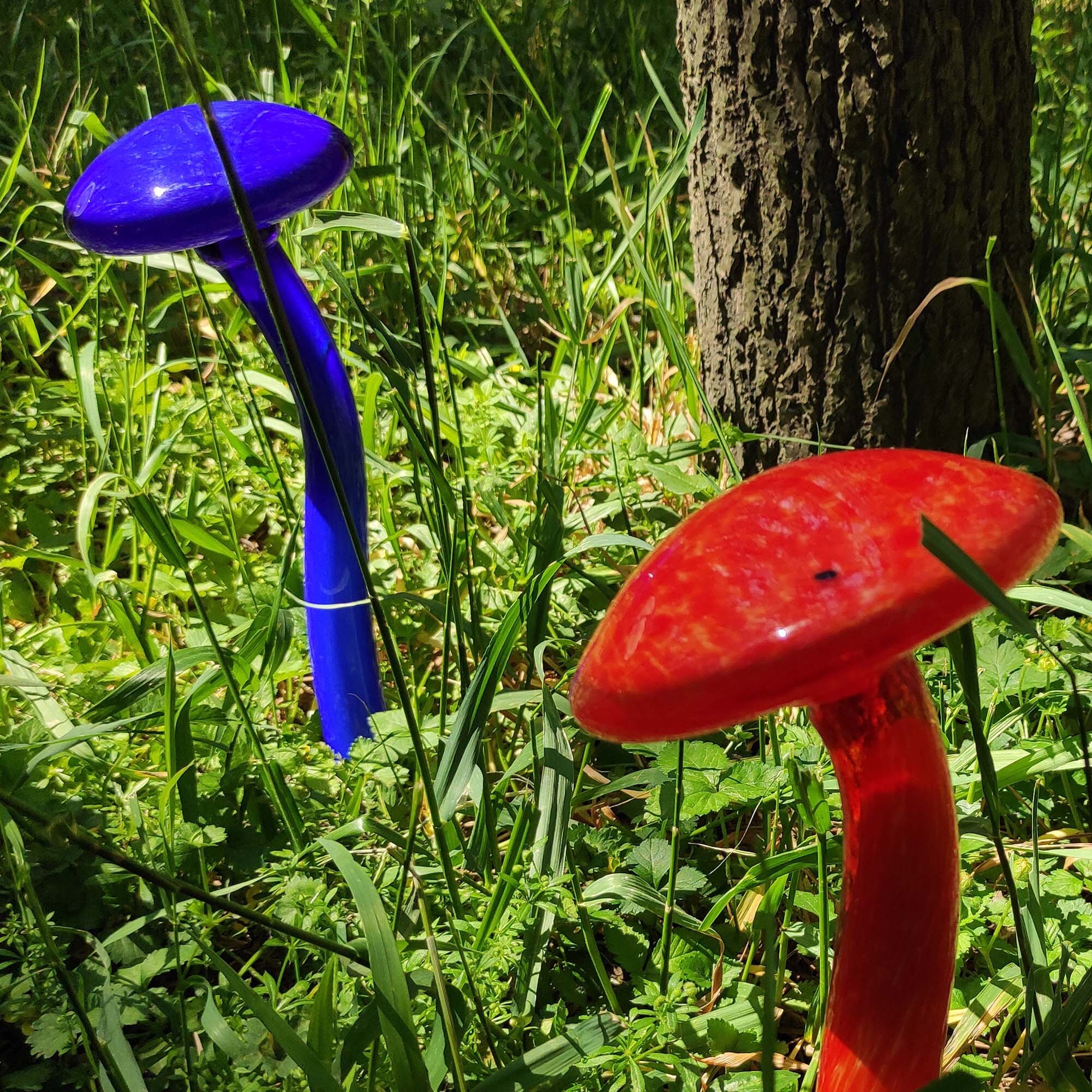 Outdoor Blown Glass Mushroom Sculpture - Etsy