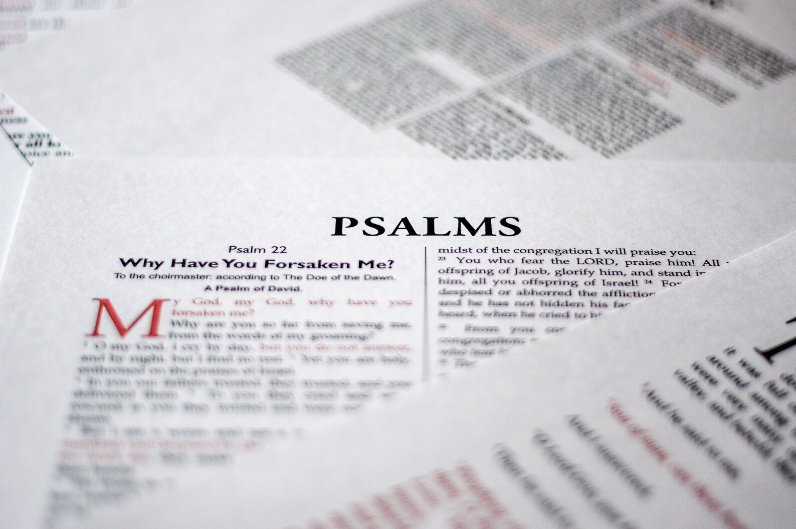 Exodus 20 the Ten Commandments English Ft. Hebrew Bible Verse Art ...