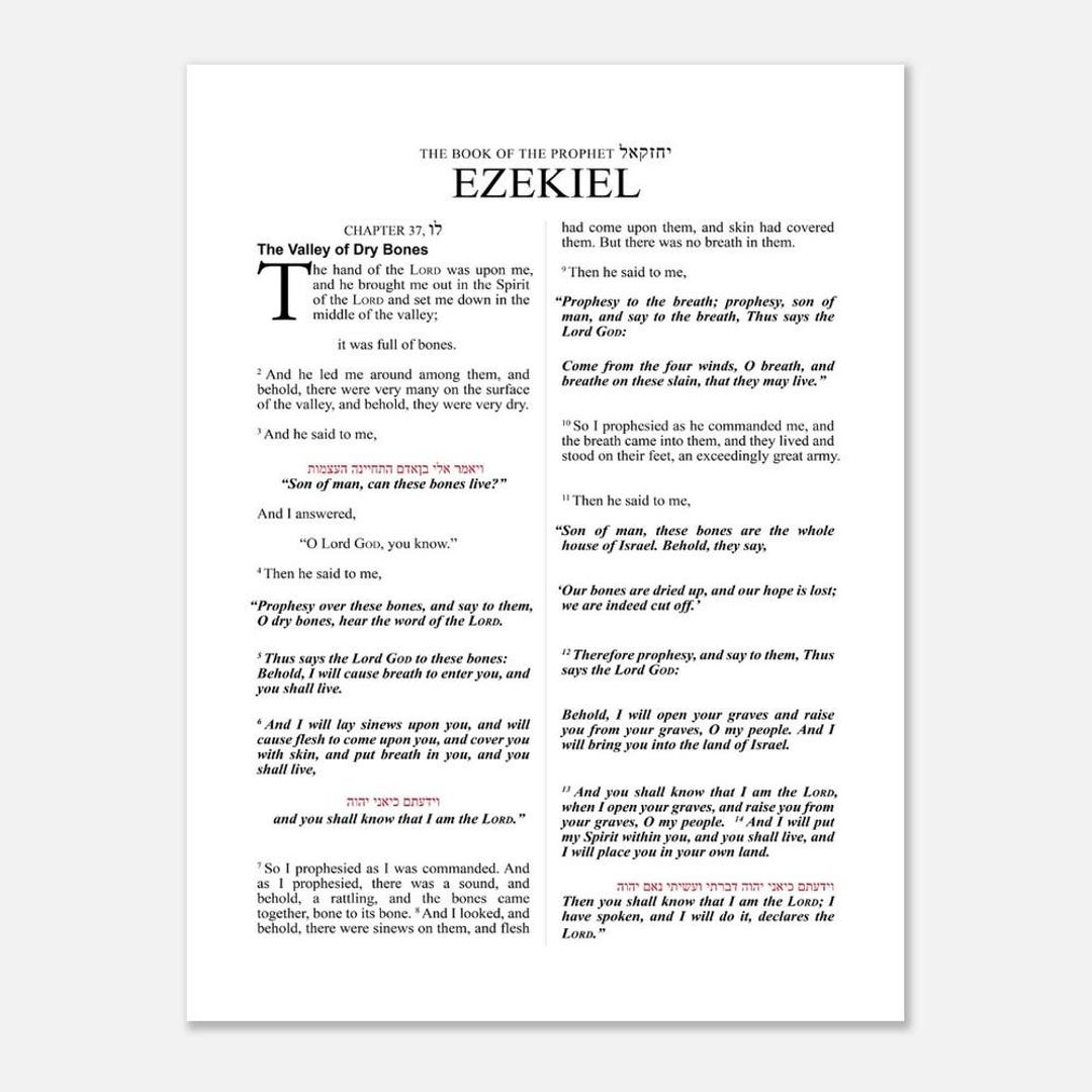Ezekiel 37: the Valley of the Dry Bones Wall Art | (full Chapter ...