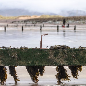 Wild Atlantic Metal Model, Wild Atlantic Way Gift, Wild Atlantic Way ...