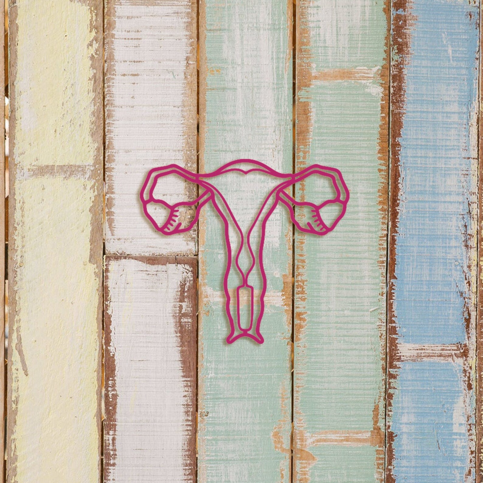 Uterus Anatomy Anatomical Wood Art Uterus Anatomy Ornament Medical Sign ...
