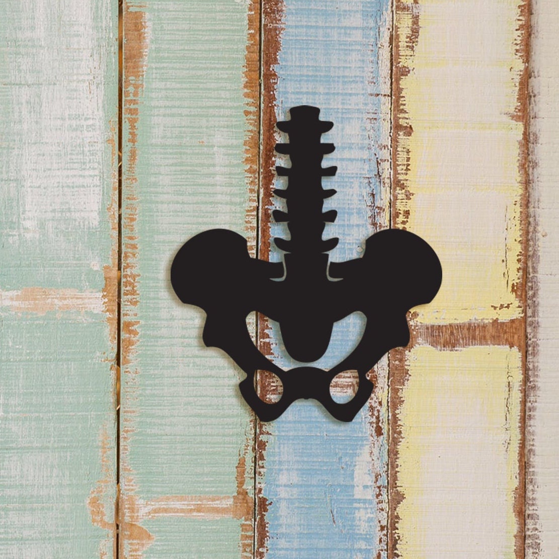 Pelvic Bone Decor Decorating Ideas for Therapy Office - Etsy