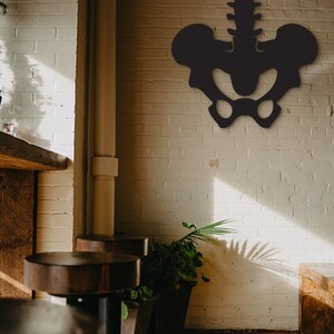 Pelvic Bone Decor Decorating Ideas for Therapy Office - Etsy