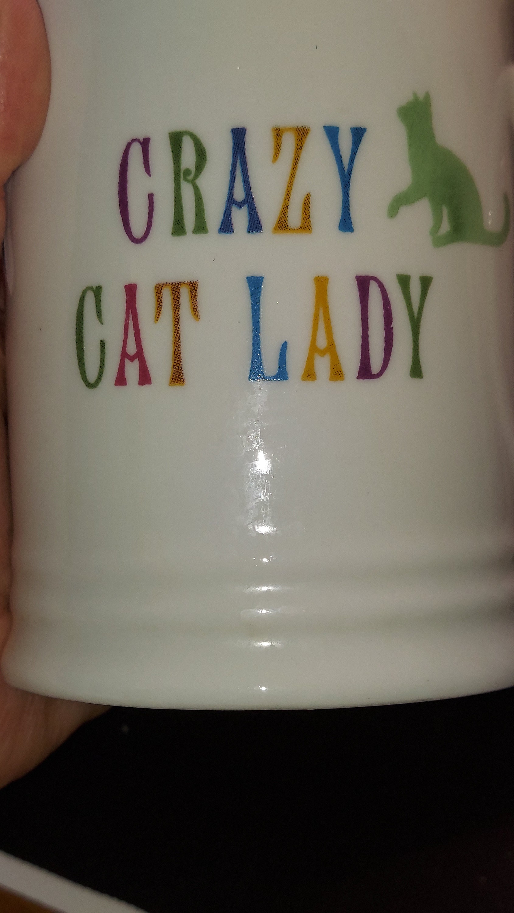 NEW Crazy Cat Lady Coffee Tea Mug Cup by Fringe Studio Kitty Cat Lover ...