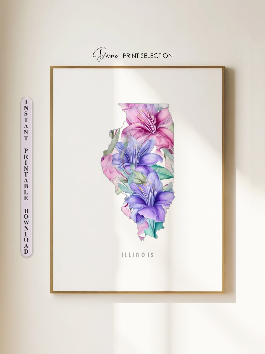 Illinois Map Print Illinois Poster Wall Art Living Room Decor Digital ...