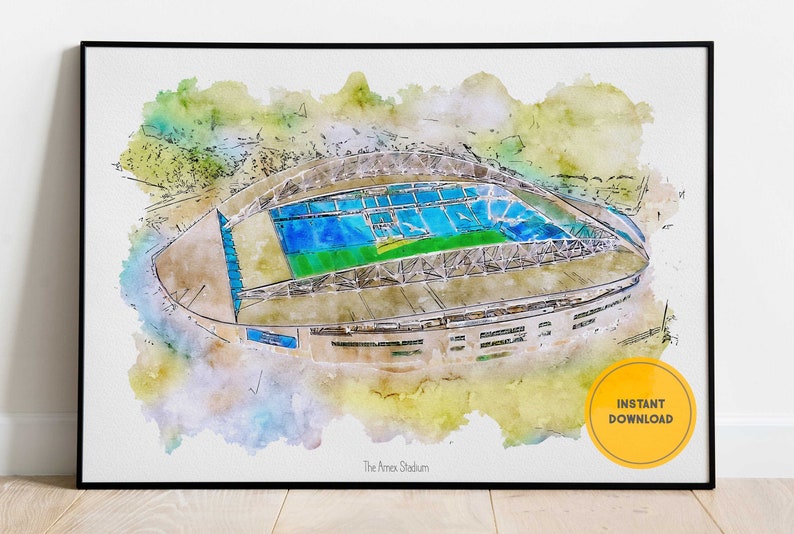 Brighton FC Poster the Amex Stadium Print Soccer Poster - Etsy