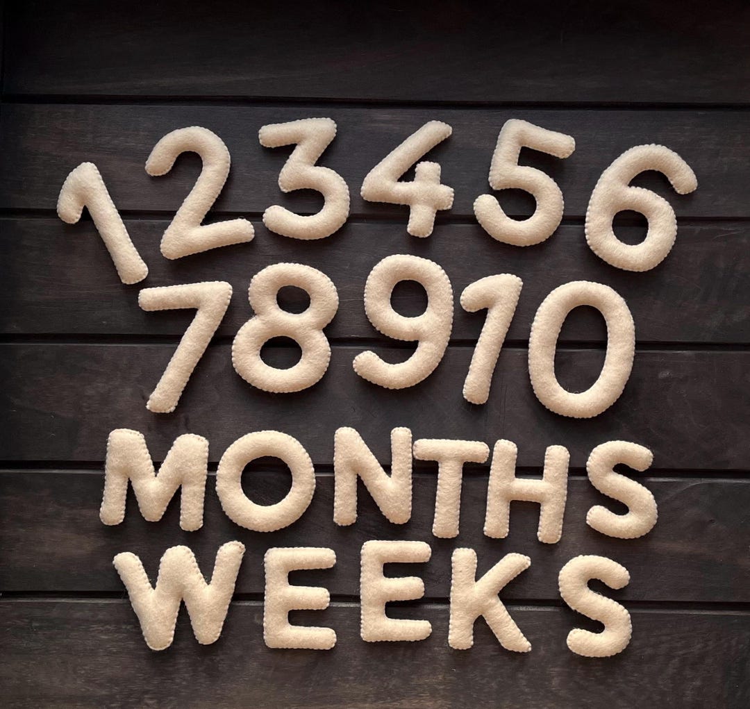 Baby Milestones Numbers Set - Felt Baby Age Milestone - Monthly ...