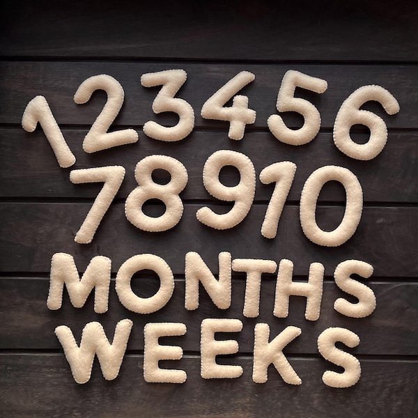 Numbers Felt Milestones - Etsy