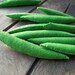 Felt Beans Play Food Set 10 Pieces for Kids Pretend Play Fun Play Food ...