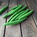Felt Beans Play Food Set 10 Pieces for Kids Pretend Play Fun Play Food ...
