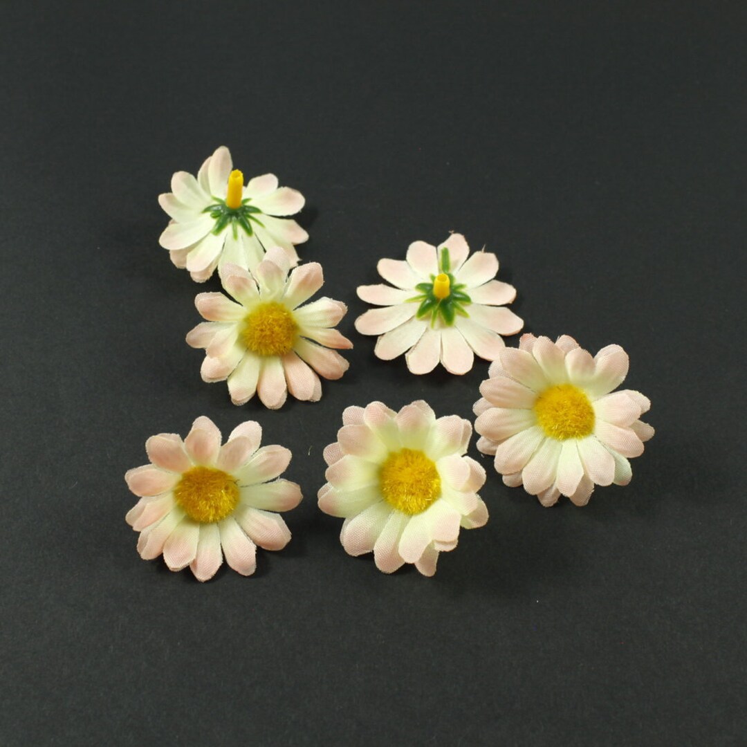 Pack of 20 Light Pink Daisy Flowers Without Stem Light Pink - Etsy
