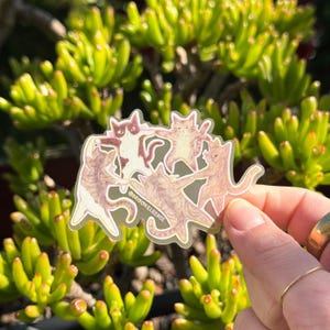 Cat Dance Sticker | Matisse Dance | Glitter Sticker | Clear Sticker ...