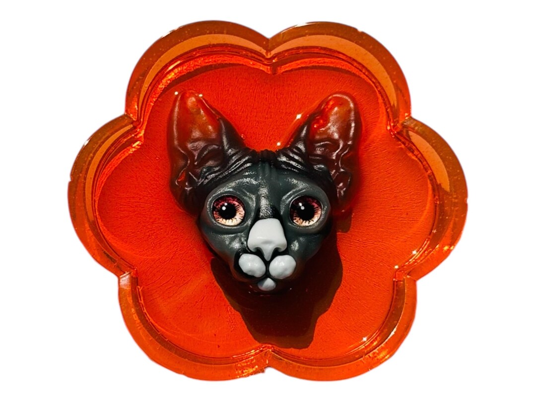Sphynx Cat Neon Orange Head Framed Resin 3d Art One of a Kind Pet Cat ...