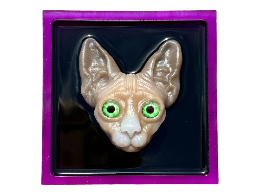 Neon Sphynx Cat Head Resin 3d Art One of a Kind Pet Cat / Handmade 3d ...