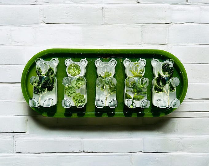 GUMMY BEAR Succulent Plants Inside 3D Resin Wall Art / Plants/ Fake ...