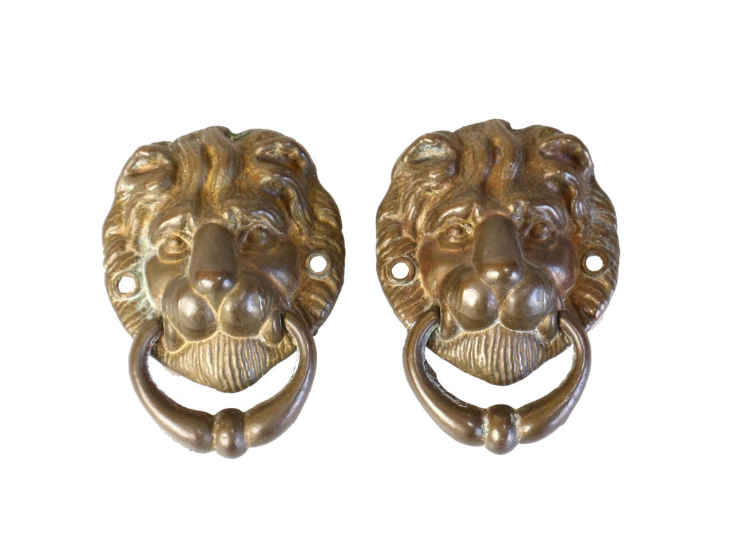 Set of 2 Mat Brass Lion Head - Lions Head Drawer - Pull or Cabinet Pull ...