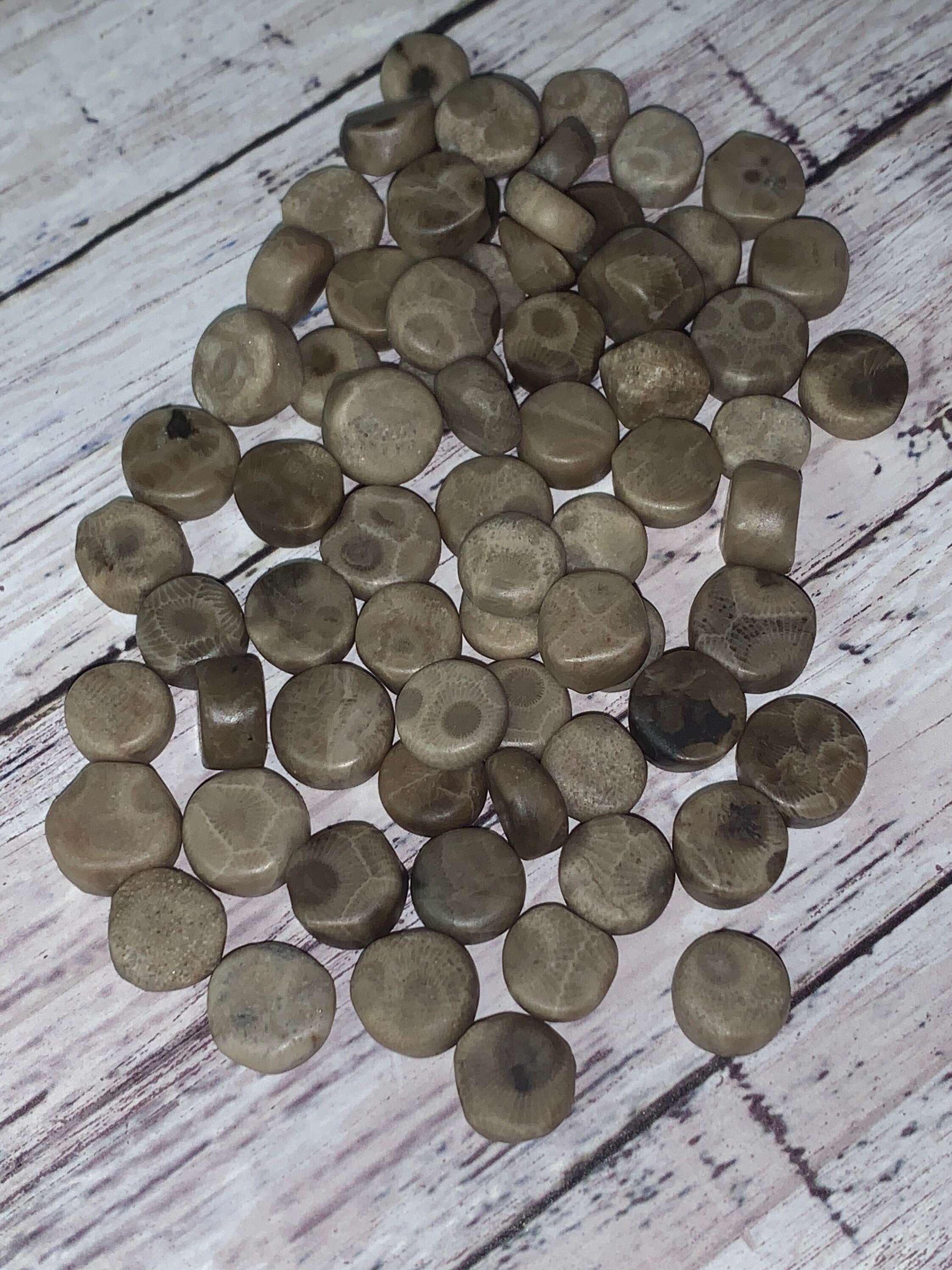 Petoskey Stone Discs Rounds 11mm 15mm | Etsy