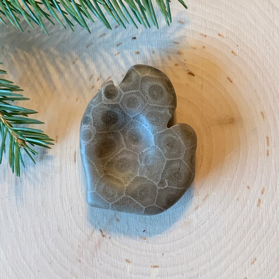 Worry Stone, Petoskey Stone, Mitten - Etsy