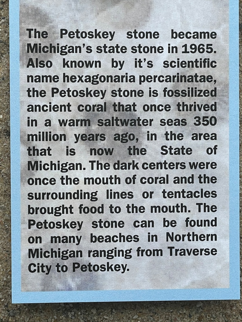 Petoskey Stone Heart Magnet With Souvenir Card - Etsy