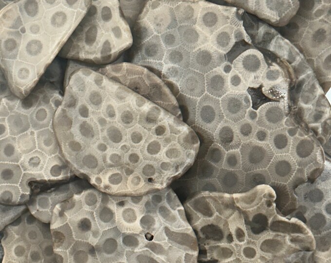 2lbs Petoskey Stone Slabs H Wedding Favors Decorative Stone - Etsy