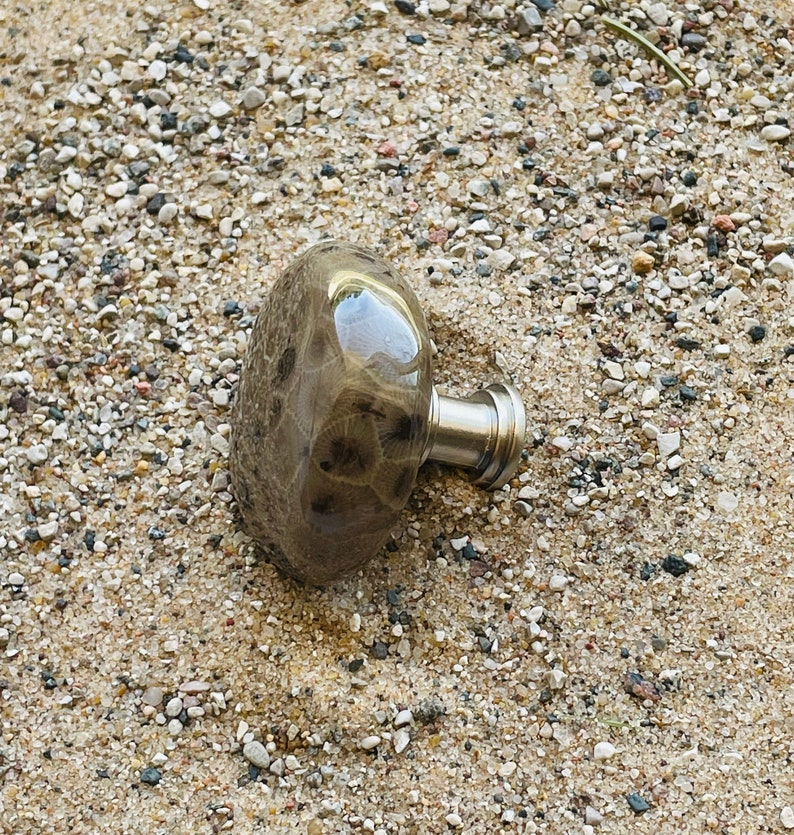 Petoskey Stone Natural Cabinet Knob - Drawer Pull - Kitchen Cabinet ...