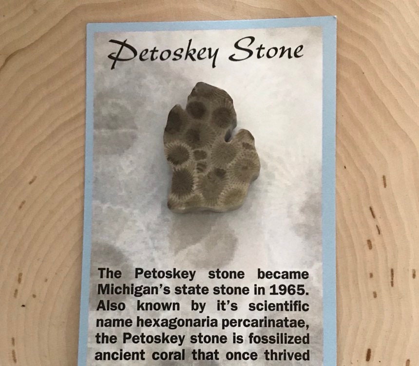 Collectibles Polished Petoskey Stone Michigan Souvenir Card with ...