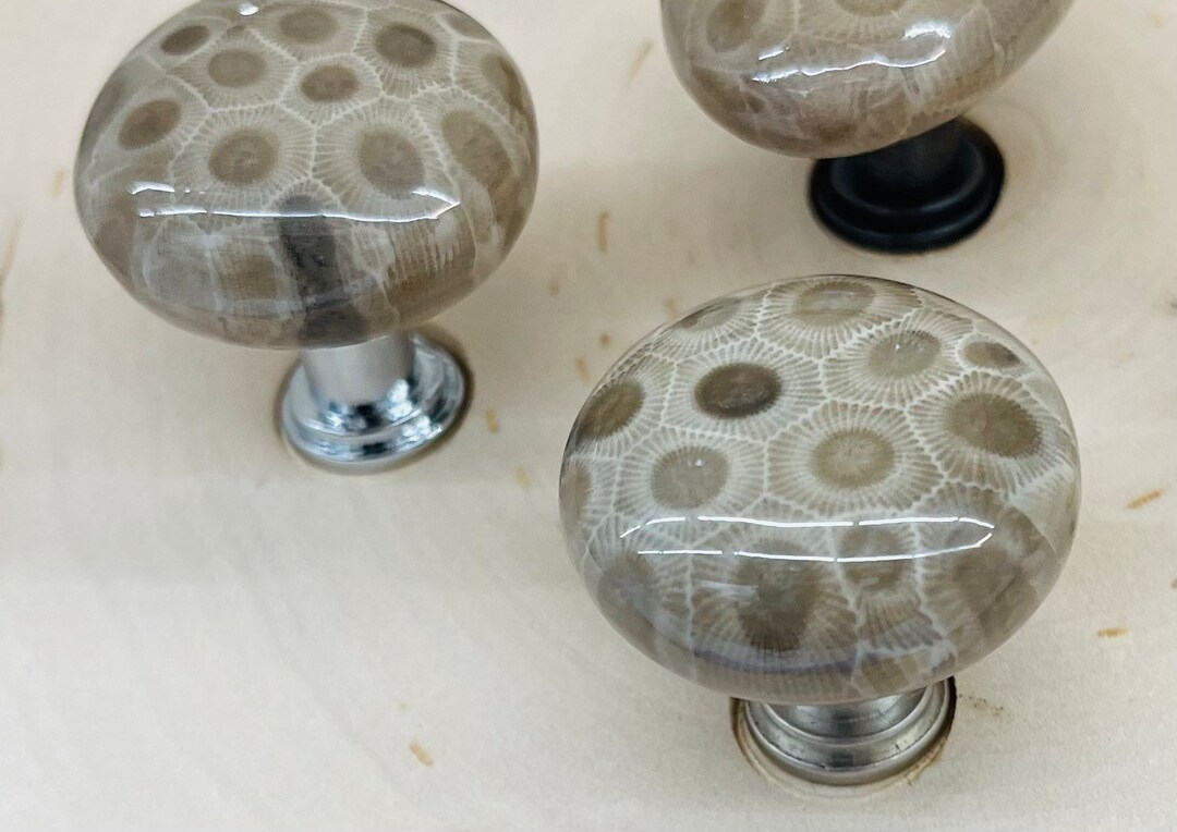 Petoskey Stone Round Cabinet Knob - Drawer Pull - Kitchen Cabinet Knob - Bathroom Vanity ...