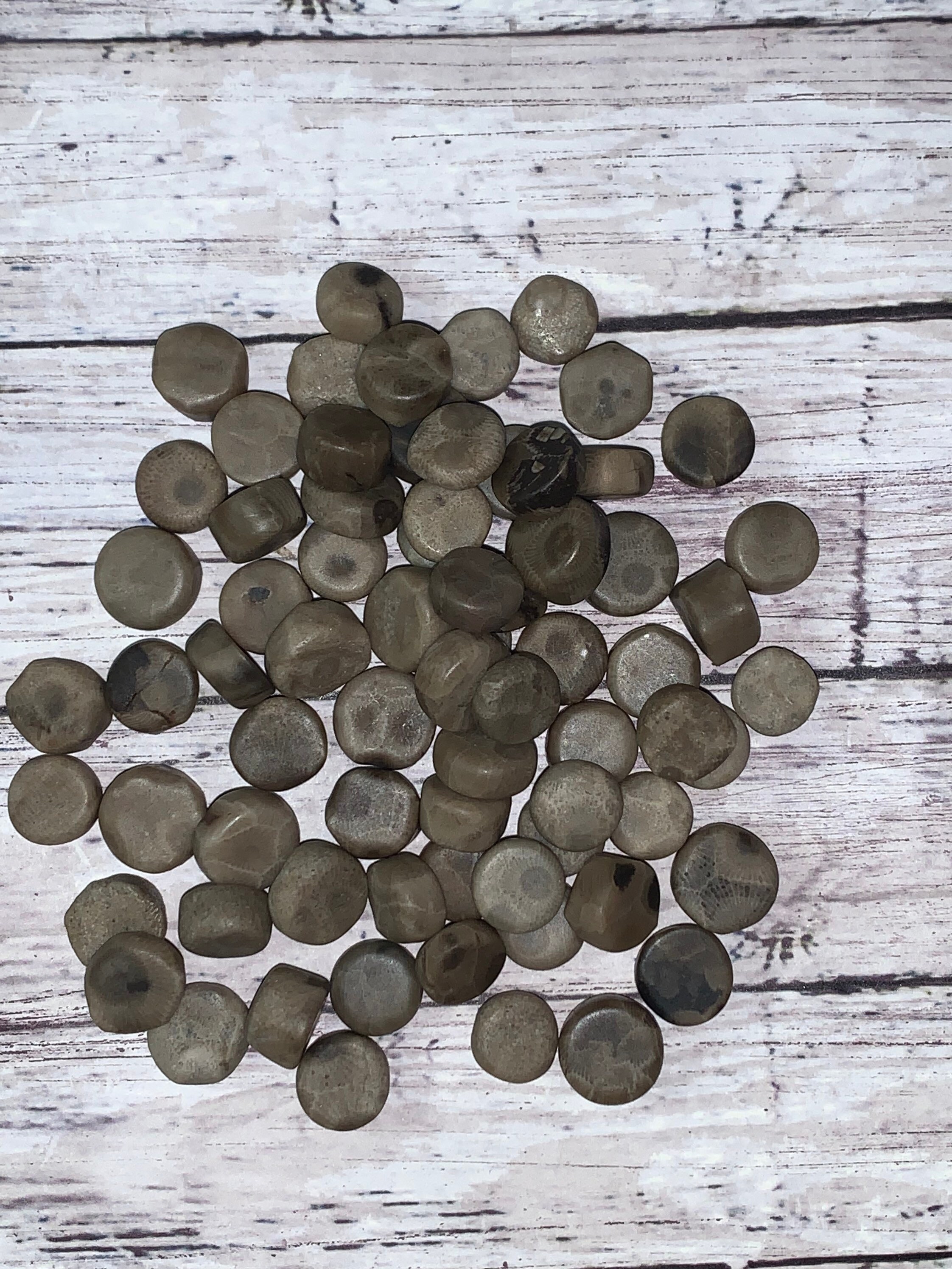 Petoskey Stone Discs Rounds 11mm 15mm | Etsy