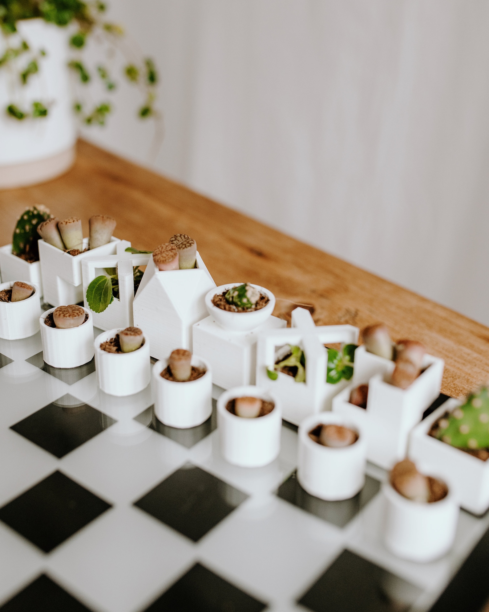 Chess Set Succulents Planter With Compact 4 Piece Board - Etsy