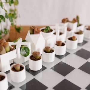 Chess Set Succulents Planter With Compact 4 Piece Board - Etsy