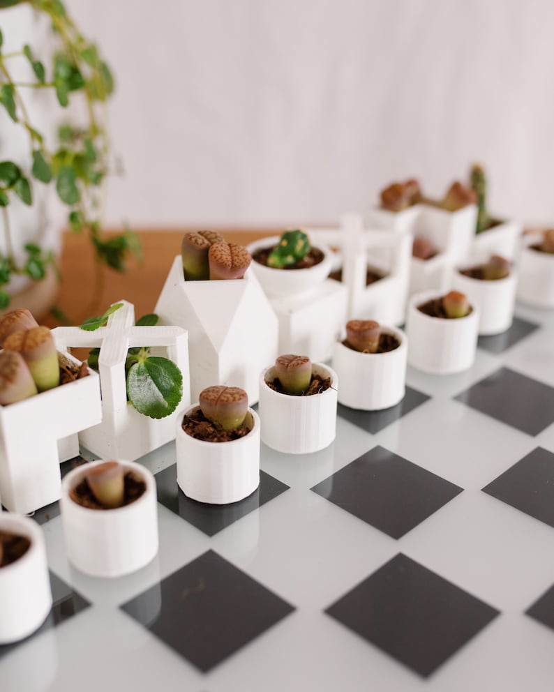 Chess Set Succulents Planter With Compact 4 Piece Board - Etsy