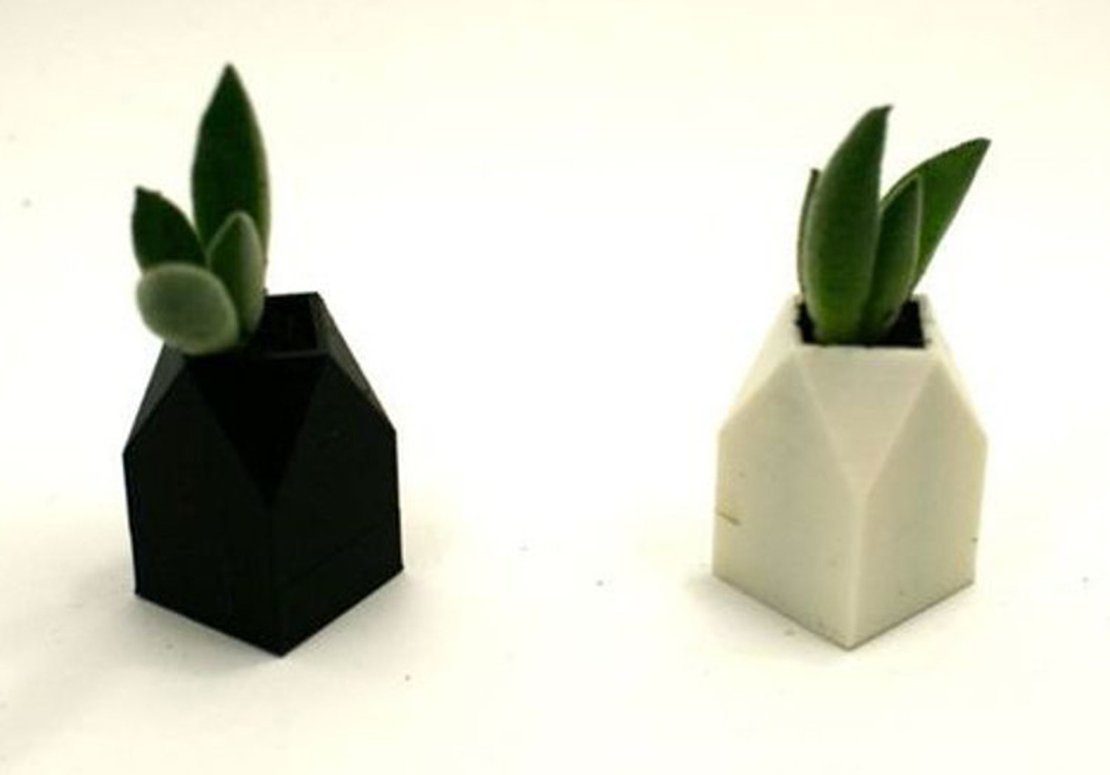 Chess Set Succulents Planter With Compact 4 Piece Board - Etsy
