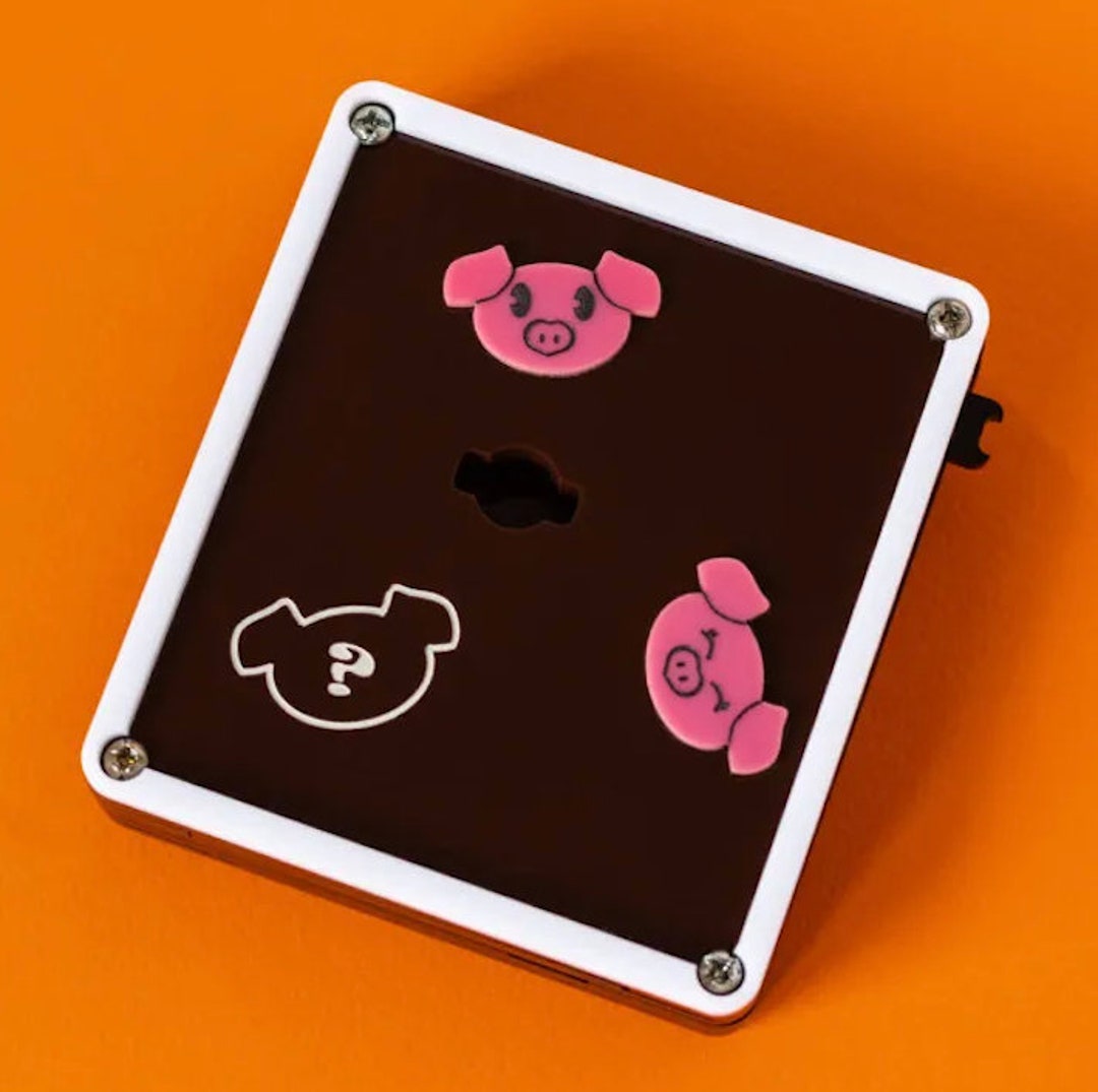 Invisible Oink Acrylic Sequential Discovery Puzzle - Etsy